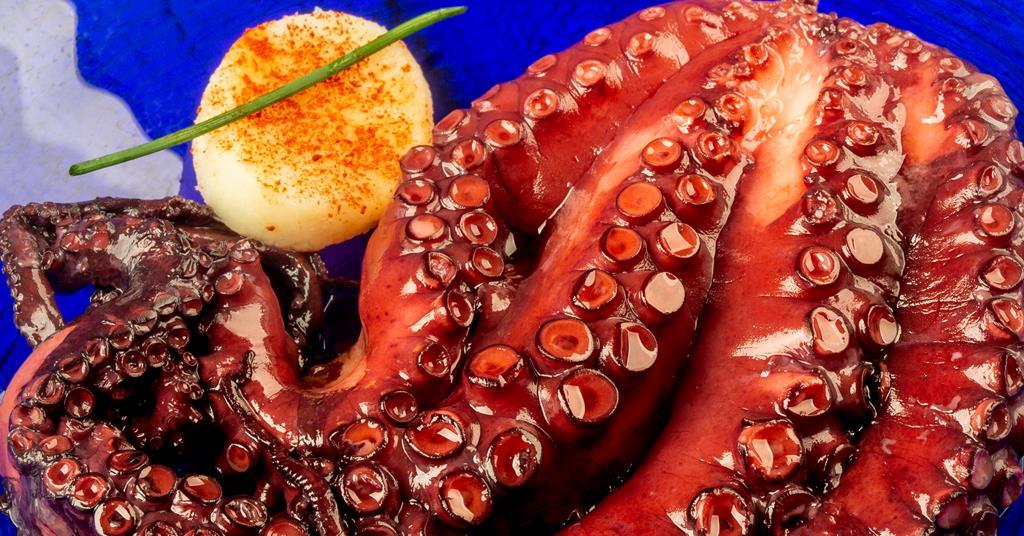 MSC-approved octopus becomes available in UK market for first time ...