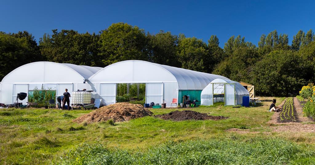 Sitopia Farm: a utopian idyll of farming… in inner London | Analysis ...