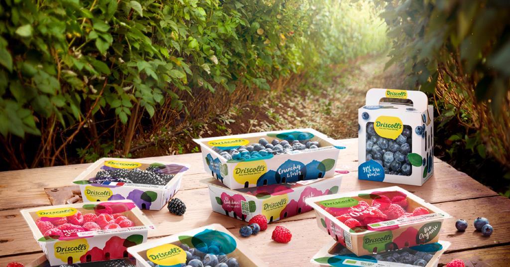 Driscoll’s plans new varieties and more export opportunities to grow UK ...