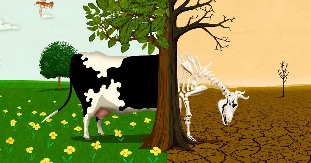 How is the dairy industry addressing climate change? | Analysis ...