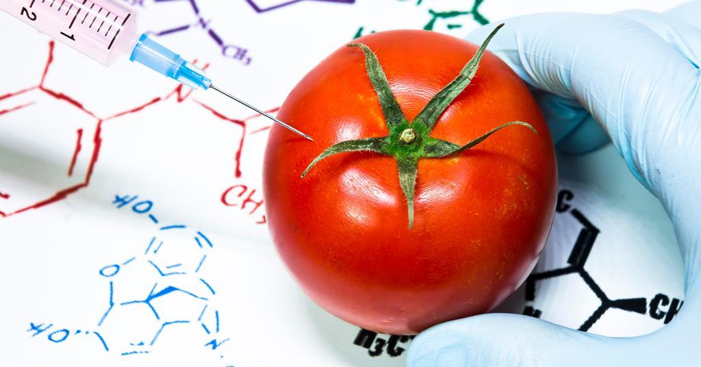 Is the UK moving too fast in introducing gene editing tech? | Analysis ...