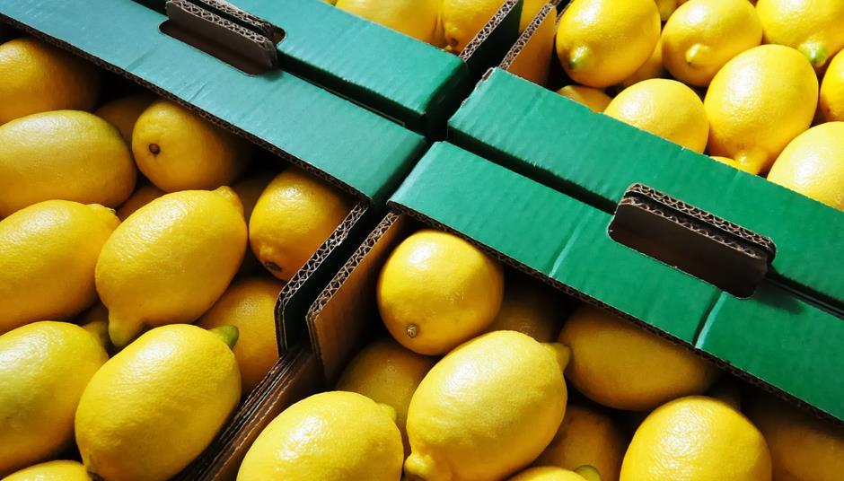 Supermarket lemon prices rocket as supply tightens | News | The Grocer
