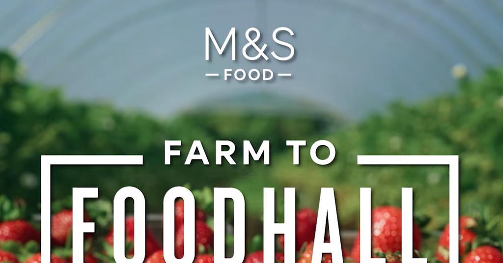 M&S's Farm to Foodhall ad gets top score for effectiveness | The Grocer
