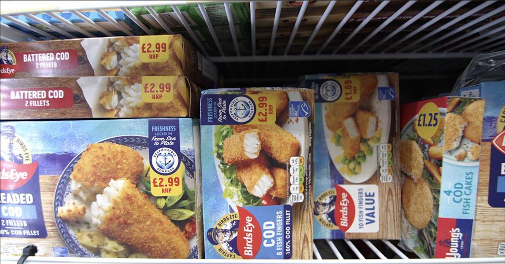 Nomad Foods predicts 2024 volume growth as frozen trend rebounds | News ...
