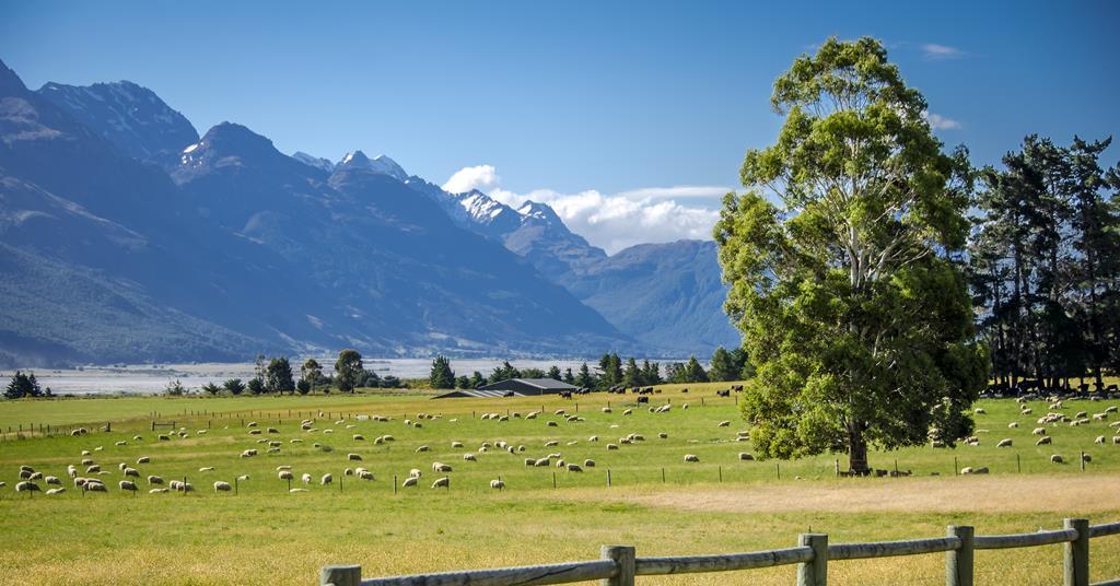 FTAs with Australia and New Zealand queried again over standards | News ...