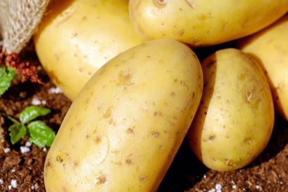 Troy Foods rescued by Fylde Fresh & Fabulous in pre-pack deal | News ...