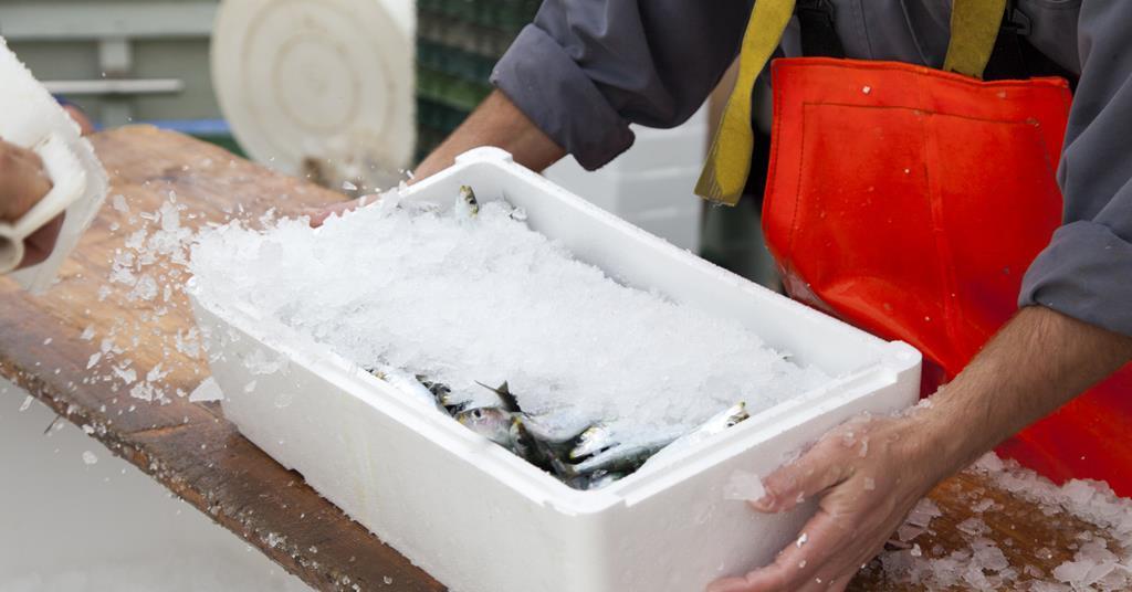Morrisons opens UK’s largest fish freezing centre in Cornwall | The Grocer