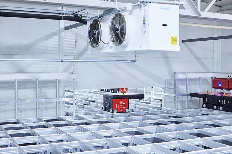 Sustainable frozen storage automation innovation | The Grocer