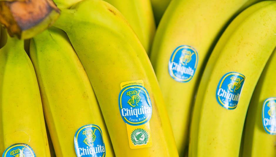 Is ditching Rainforest Alliance a bananas move for Innocent? | Comment ...