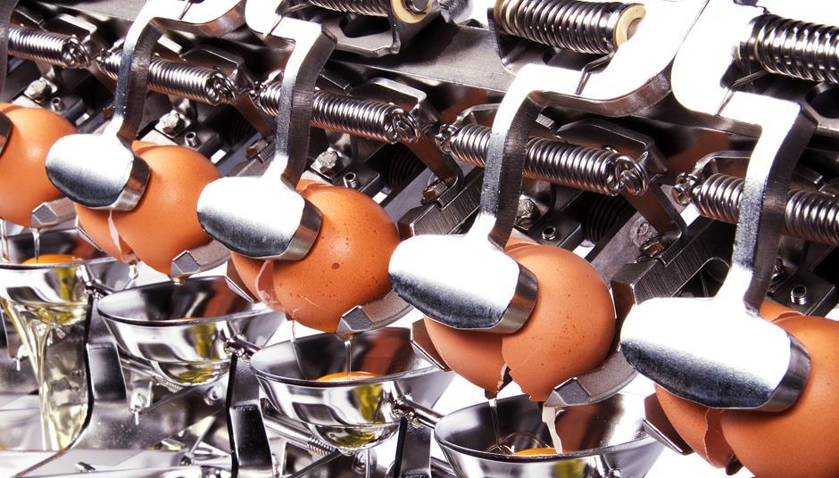 Egg sector unveils tougher egg product code of practice | The Grocer