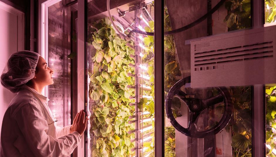 French startup to develop container fruit & veg farms | News | The Grocer