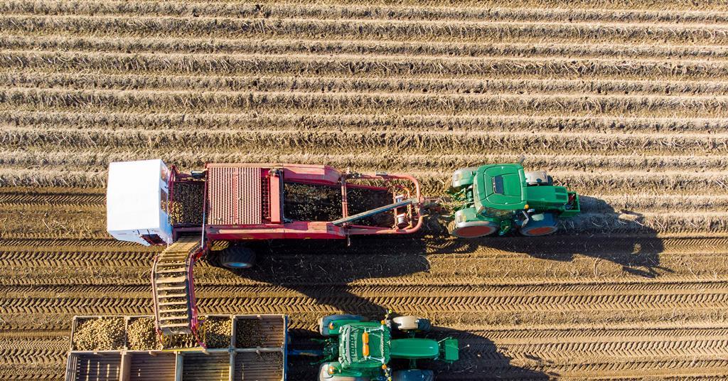 Defra unveils ‘simplified’ update to post-CAP farm subsidy scheme ...