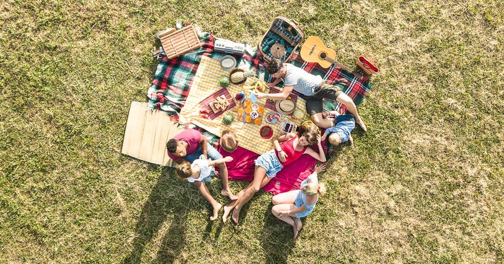 Picnic warning is a reminder industry must step up on salt reduction ...