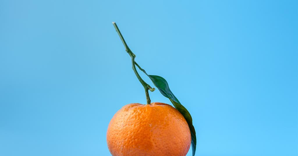 Loose fruit & veg: which supermarket is the best for shopping plastic ...