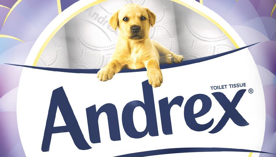 15 (15) Andrex | Rankings | The Grocer
