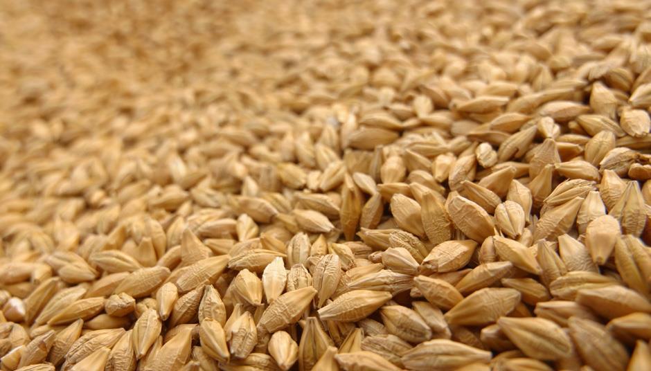 India announces shock wheat export ban, compounding global supply ...