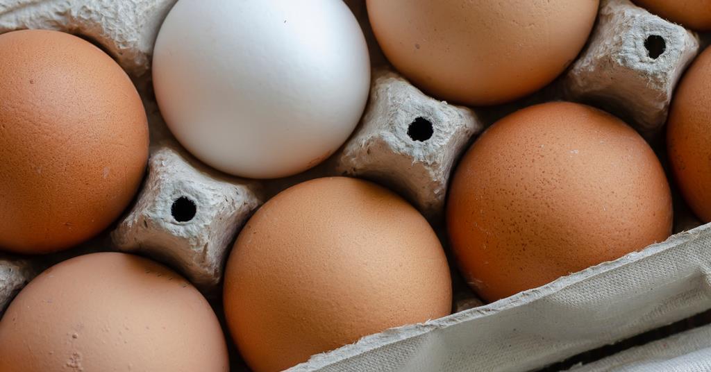 Media Bites 22 November: CBI conference, eggs, food production, fuel ...