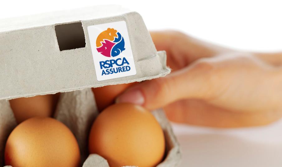 Why RSPCA Assured remains crucial in the face of criticism | Comment ...