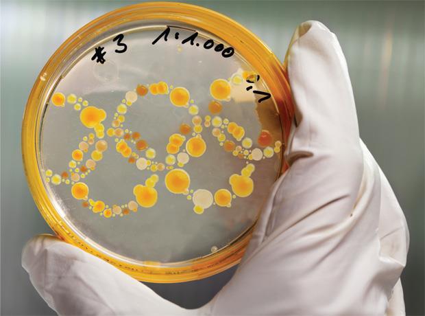 The Olympic food trials | Analysis & Features | The Grocer