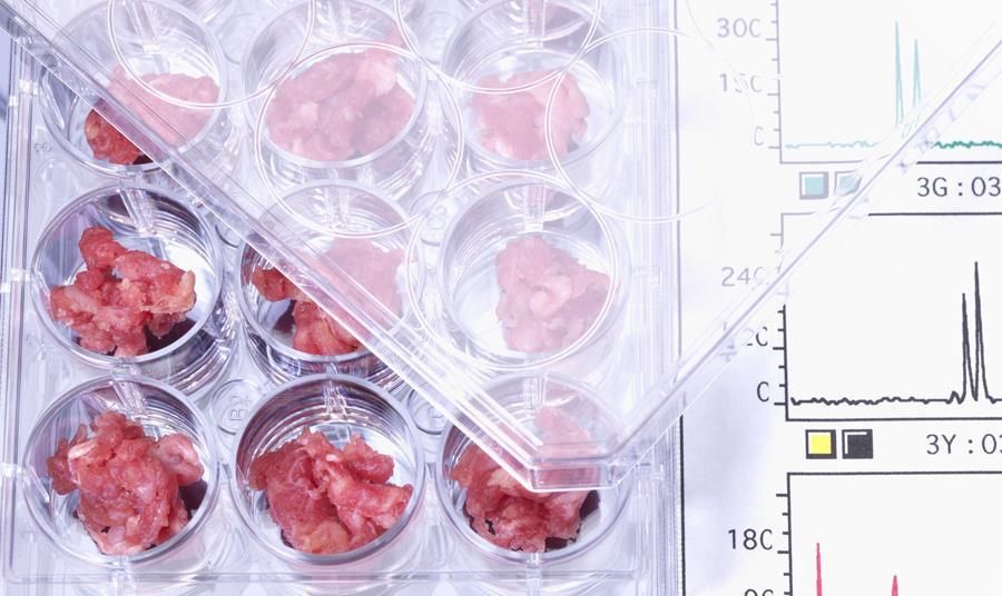 The new weapons against dodgy meat | Analysis & Features | The Grocer