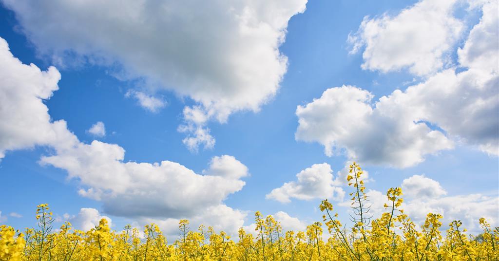 PepsiCo, Mars and ADM launch regen ag programme in Poland | The Grocer