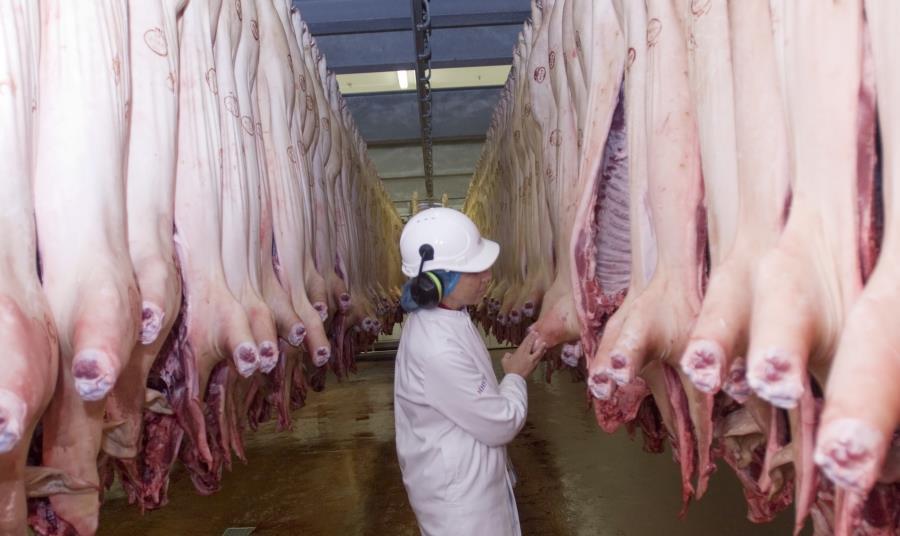Mandatory CCTV in English slaughterhouses to be introduced | News | The ...