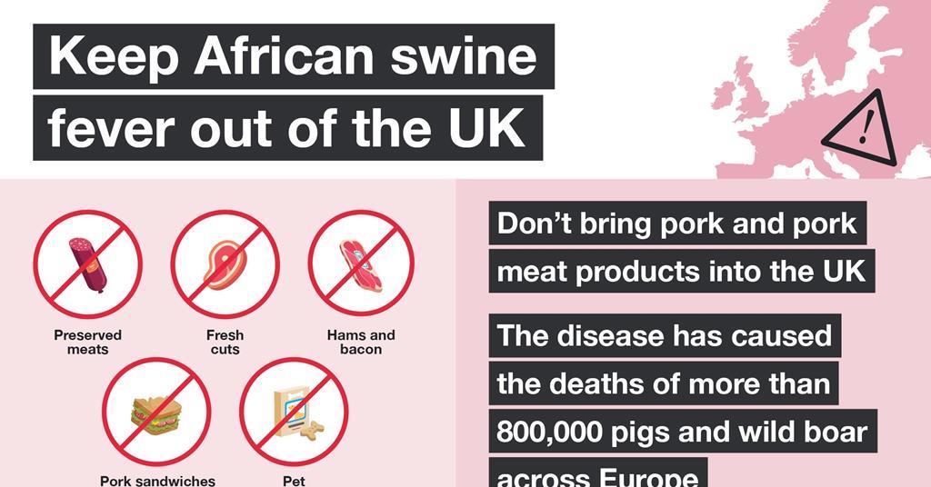 Defra kicks off anti-African swine fever border campaign | News | The ...