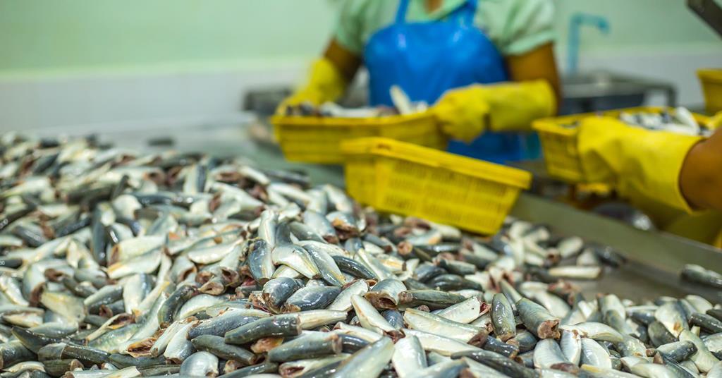 Nomad Foods expands sustainable fish supply with new partnerships ...