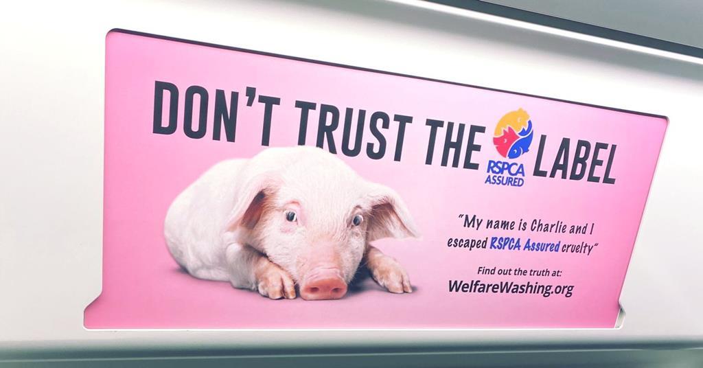 Veganuary founder launches anti-RSPCA Assured campaign | News | The Grocer