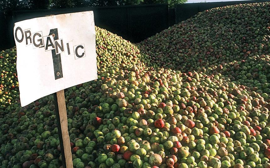 Boffins look for way to fight organic fraud | News | The Grocer