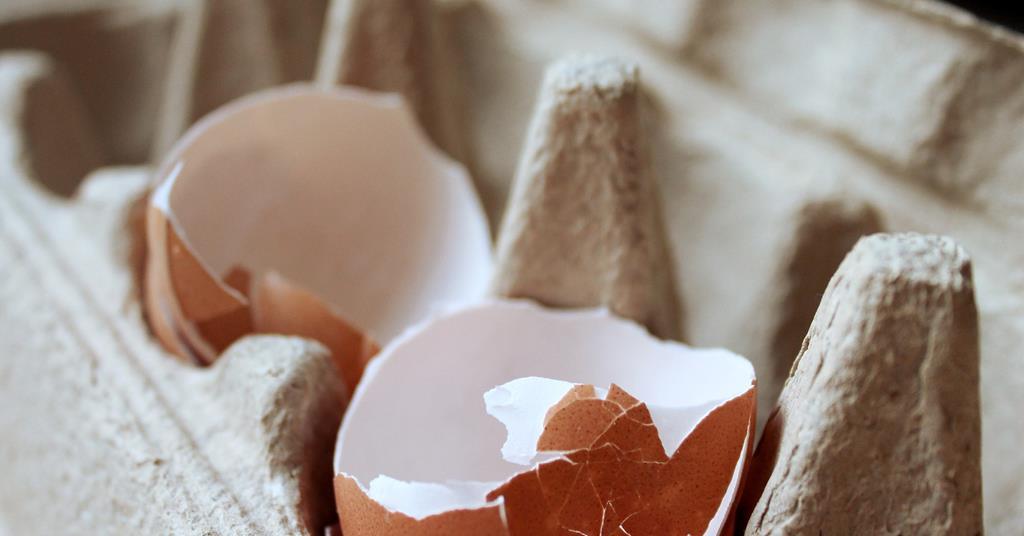 Scandal of 2022: Supermarket price tactics fuel egg shortage | Analysis ...