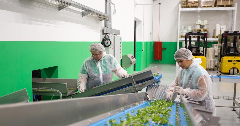 Labour shortage crisis in food: what progress has been made? | Analysis ...