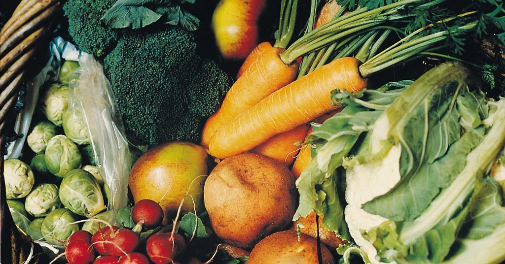 Health food wholesaler Tree of Life's sales soar 14% | News | The Grocer