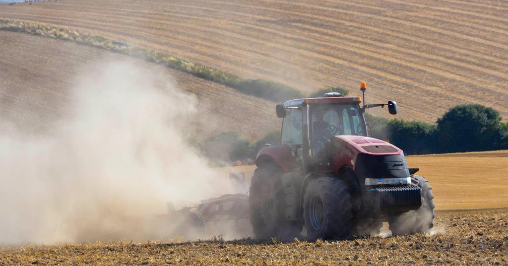 Growers warn of crop issues due to heatwave impact and lack of rain ...