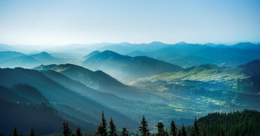 How using key purchase drivers can help result in successful soft ...