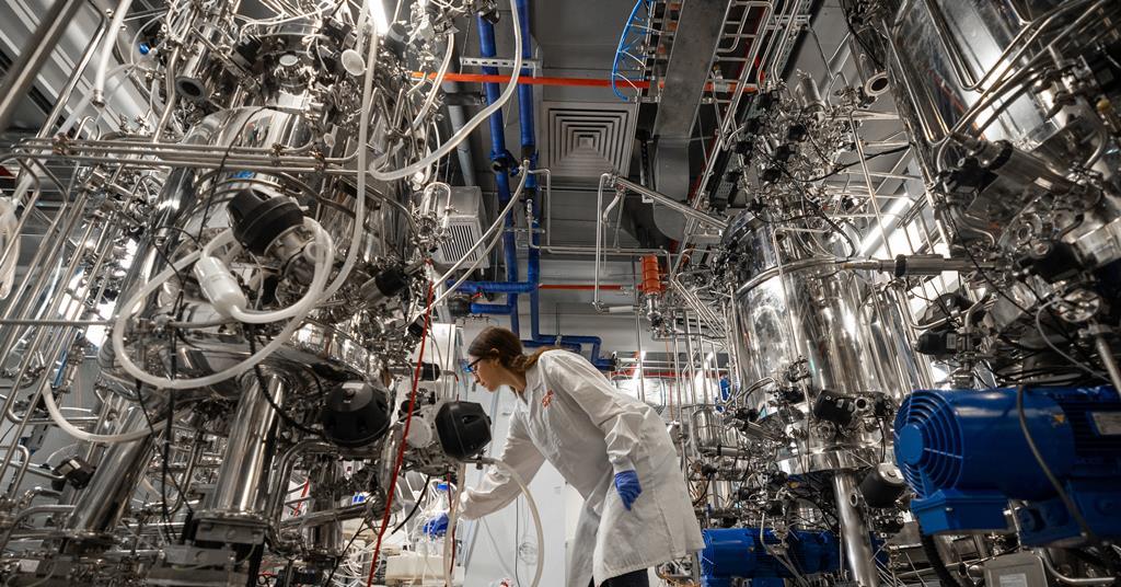 Nestlé eyes push into cultured meat market | News | The Grocer