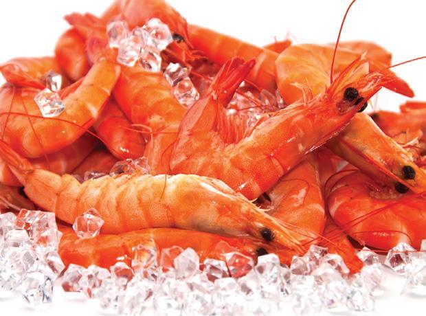 Prawns feel heat from tariffs... and killer cod | Analysis & Features ...