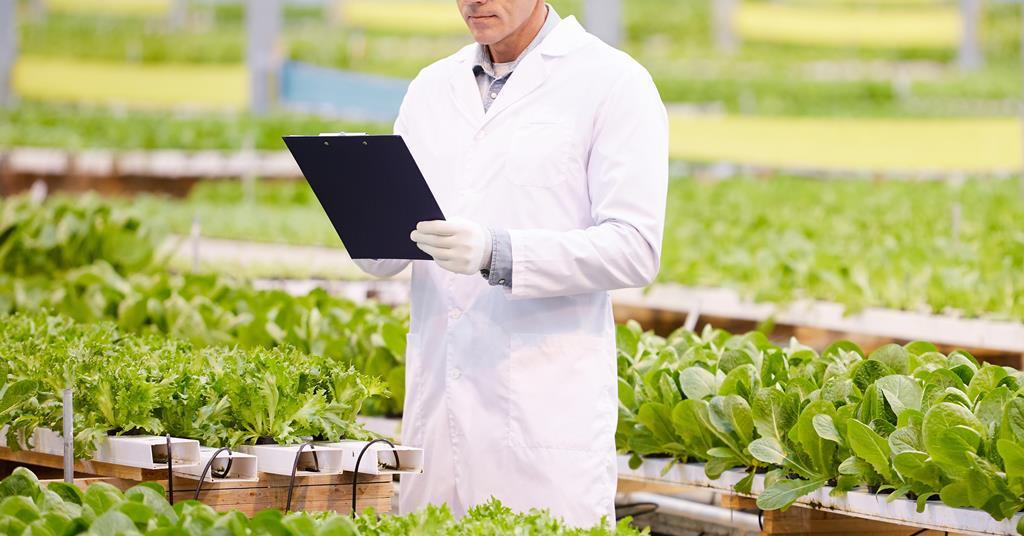 Why we must take a balanced approach to precision breeding | Comment ...