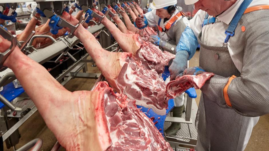 Cranswick’s new animal welfare review is money well spent | Comment ...