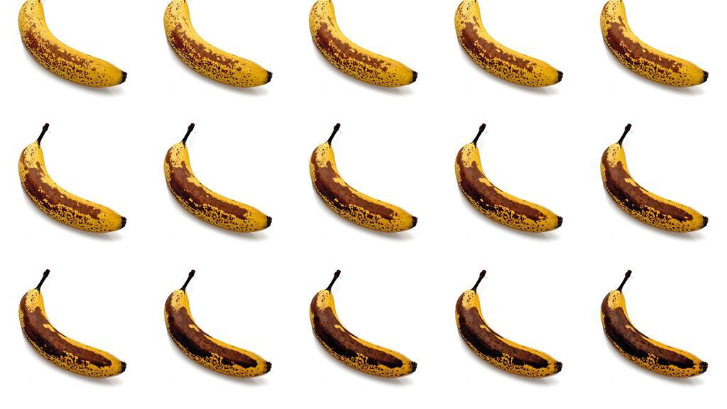 Why are bananas dying and what are we going to do about it? | Analysis ...