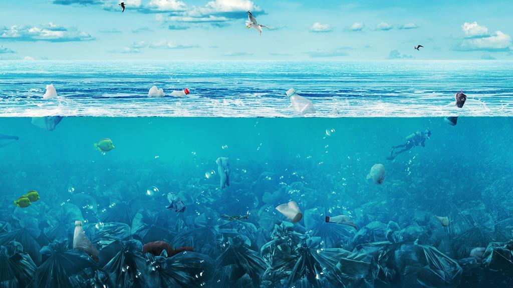 Is biodegradable plastic the answer to food and drink’s packaging ...