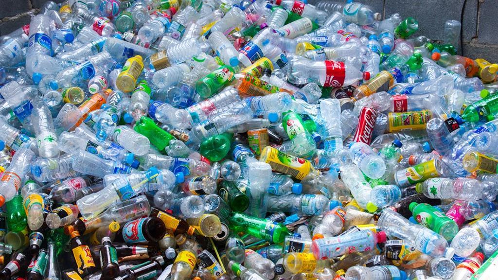 Deposit return scheme: how UK retailers can prepare and profit | The Grocer