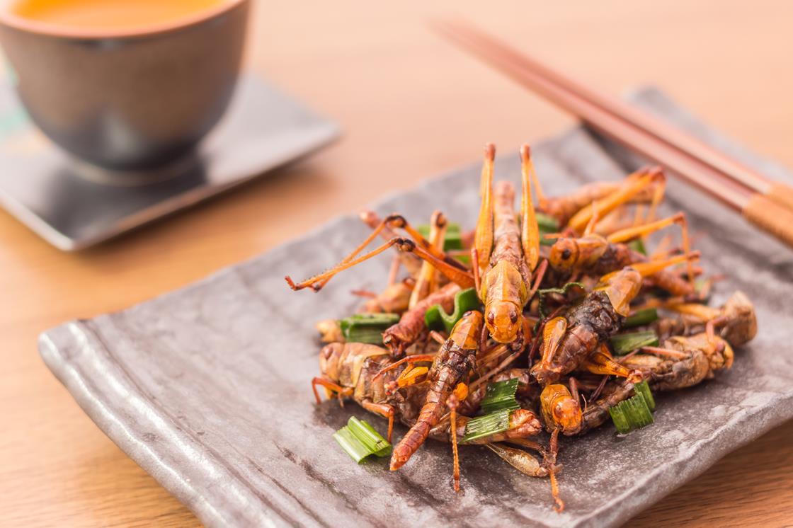 'Yuck factor' will stop insects being accepted as food | The Grocer