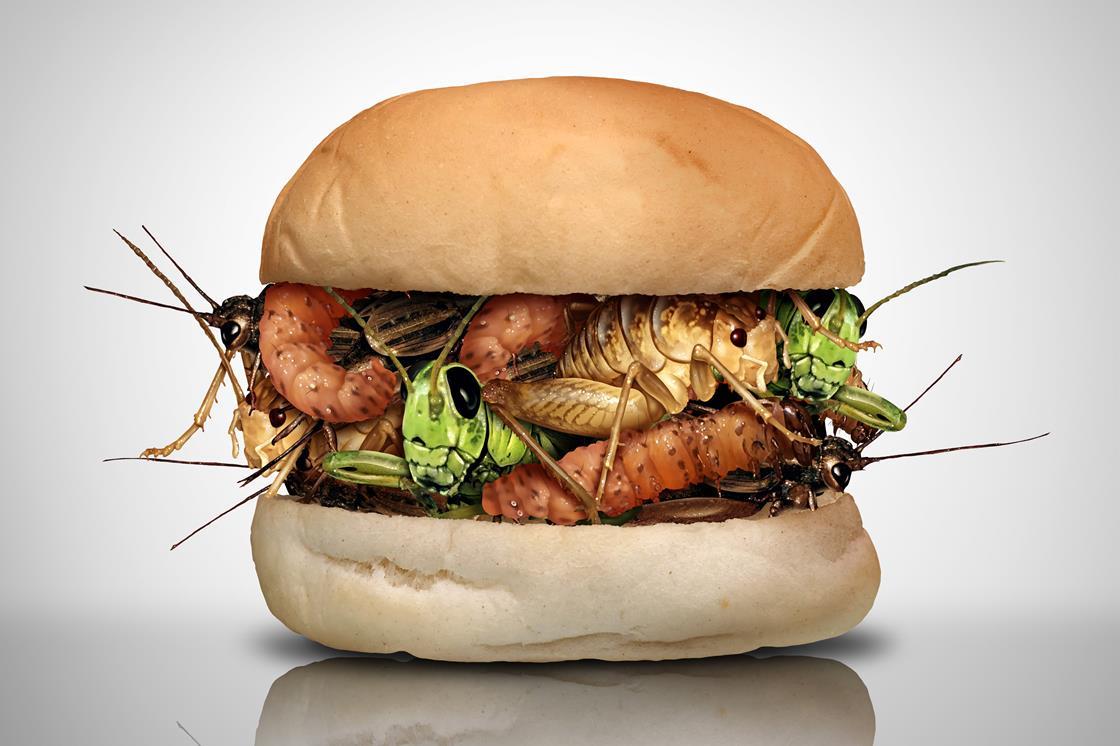 Edible insects, CBD, lab-grown meat: why Brexit is great news for weird ...