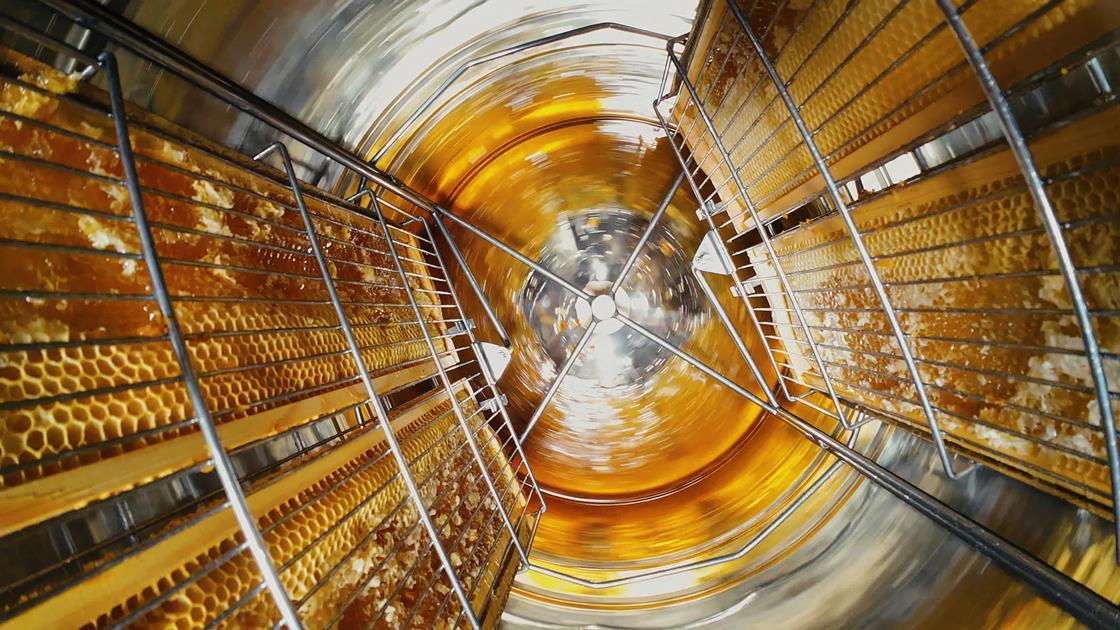 What’s the truth behind honey fraud claims? | The Grocer