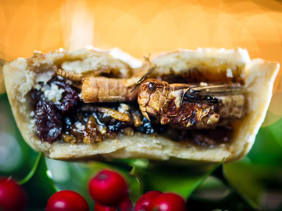 Bug off: insects are infesting our mince pies now | Comment & Opinion ...