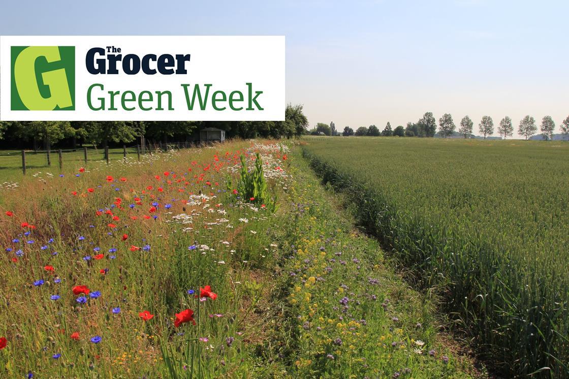 Lack of clarity on SFI scheme leaving farmers ‘stranded’ | News | The ...