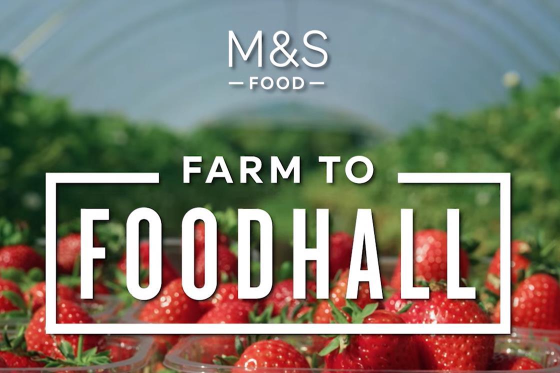 M&S's Farm to Foodhall ad gets top score for effectiveness | The Grocer