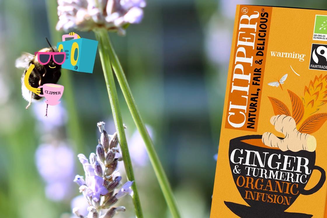 Clipper Tea's ad bee shows power of evolution | The Grocer