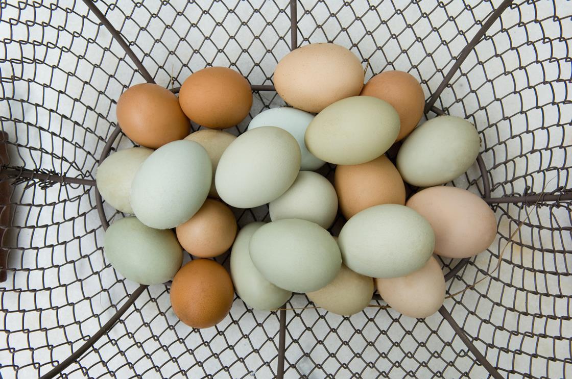 The yolk of the matter: 10 charts that reveal how Britain likes its ...